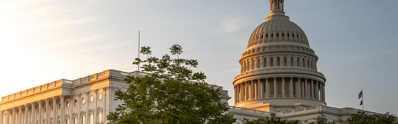 GSA Construction | ACE Consulting